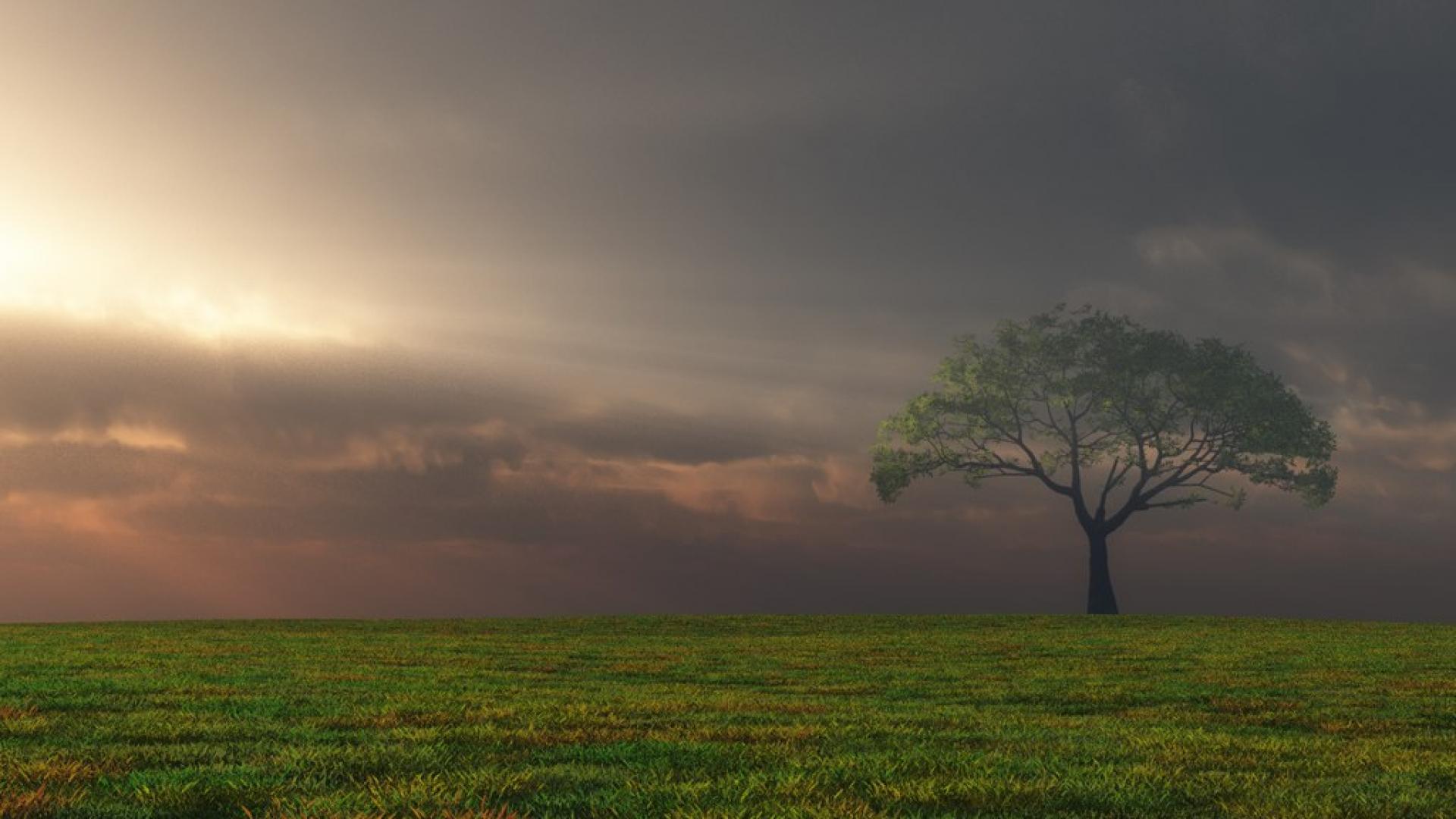 nature-alone-tree-field-clouds – Ripley Church of Christ